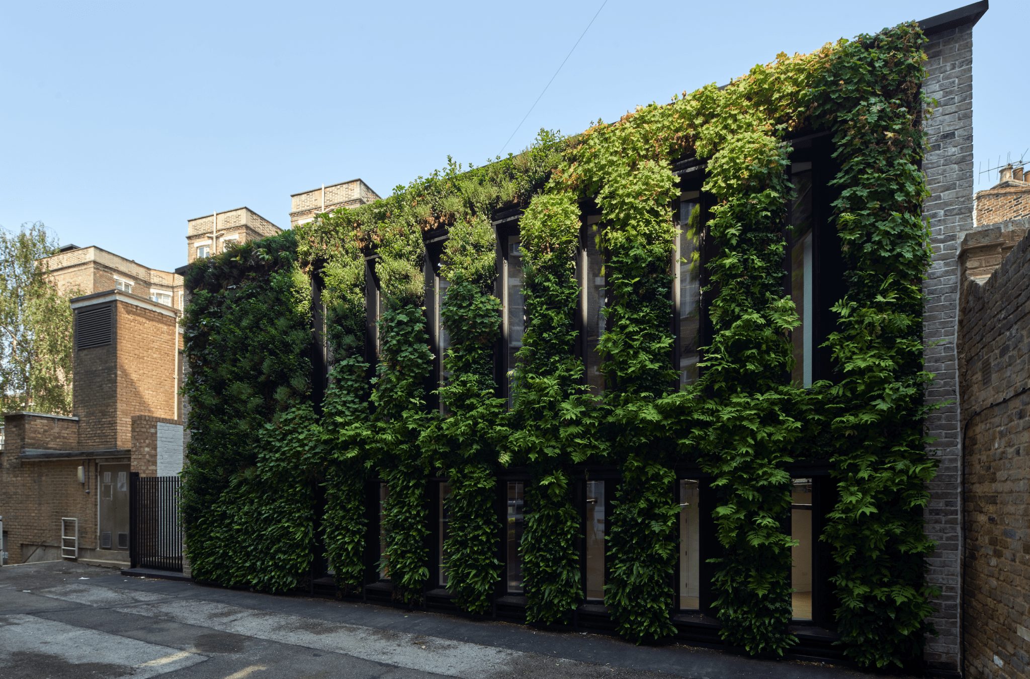 Plantworks embraces biophilic design to bring the outdoors inside ...
