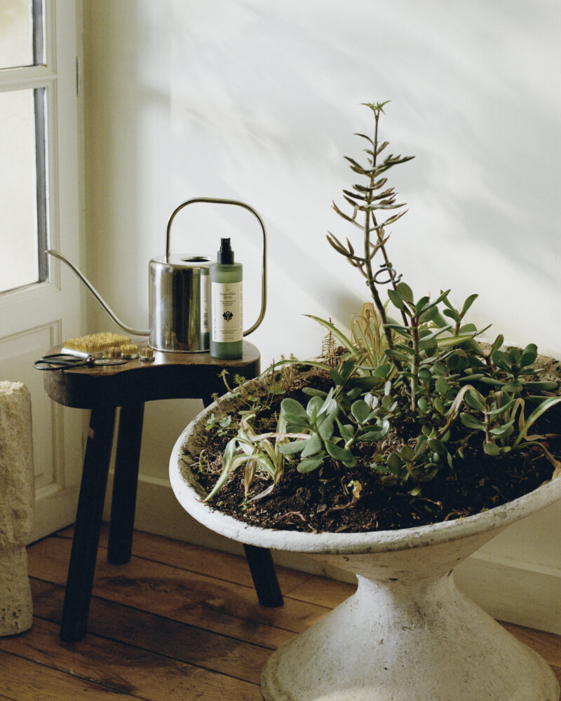 Sowvital: the start-up helping us to take better care of our house and ...
