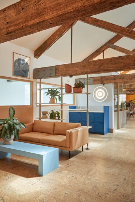 Studio Rhonda’s masterful project for Omlet embraces bold hues and ...